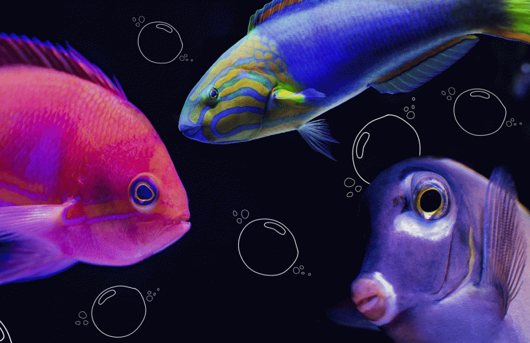 Facts and Fishes: New Science resources - Education Matters