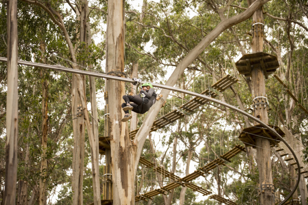 Shockwave ZipCoaster a highlight for students at Live Wire Park ...